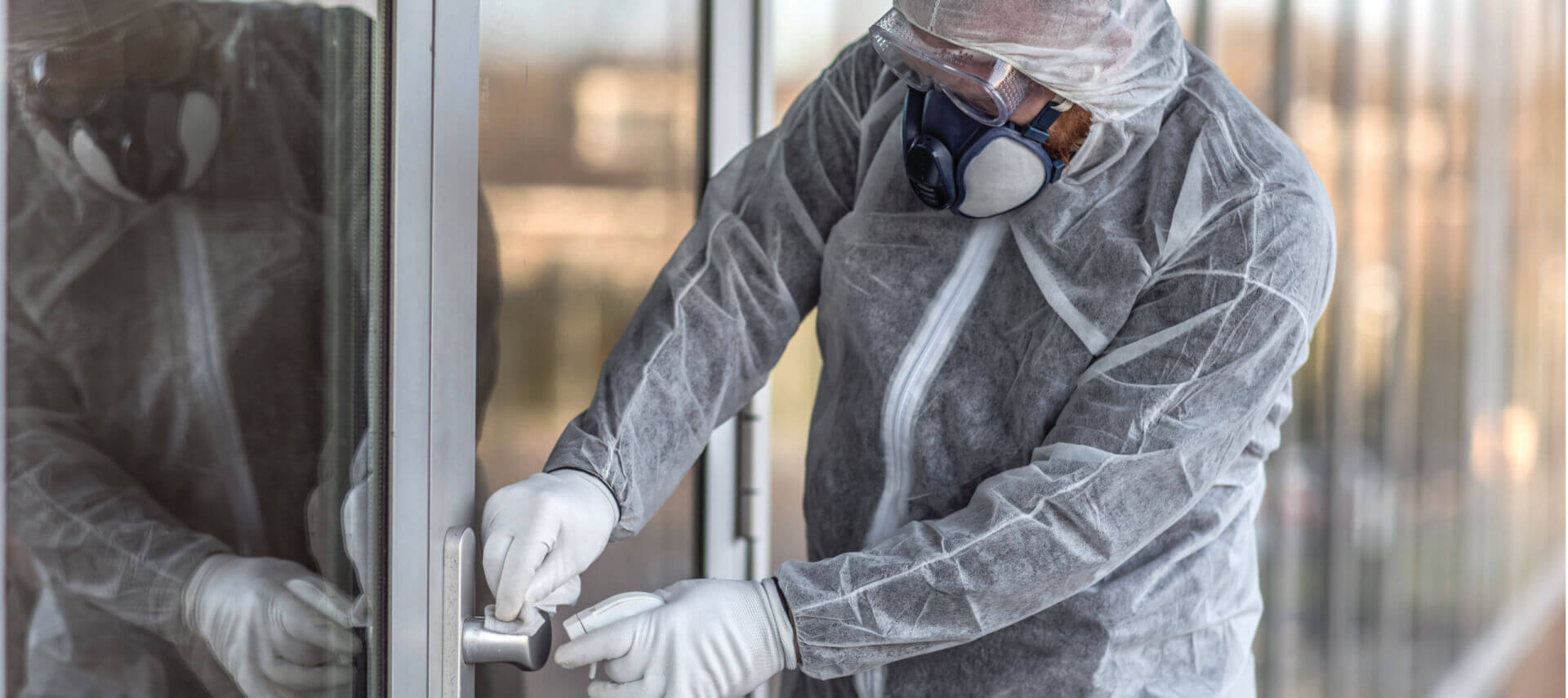 Reasons to Use a Pest Control Company to Disinfect - Western Pest Services