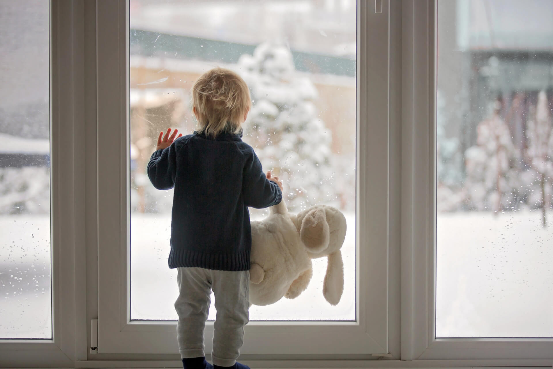 10 Tips to Get Your Home Winter Ready - Western Pest Services