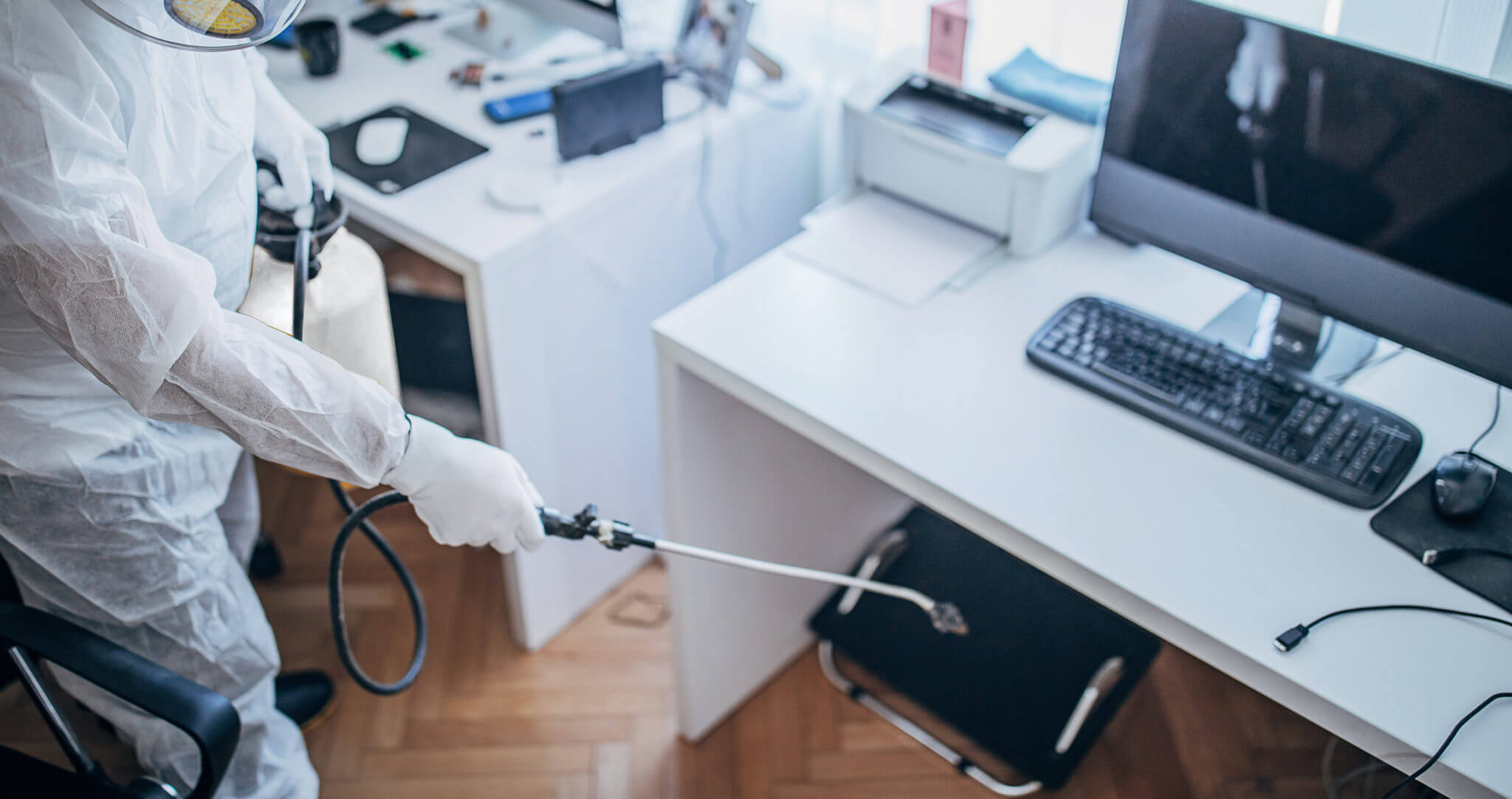 5 Things to Look for in a Pest Control Company - Western Pest Services