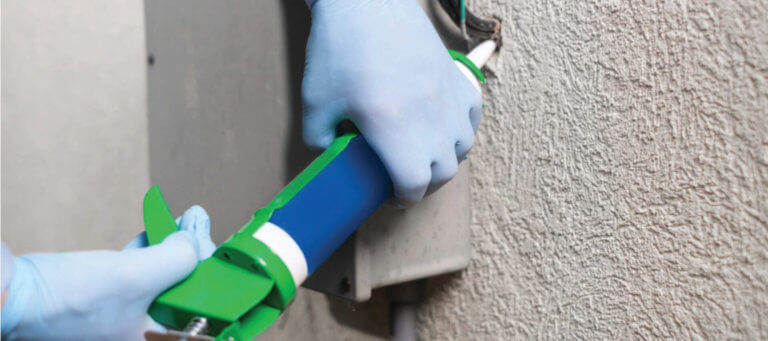 Rodents in Warehouses: Control Warehouse Rodent Infestations