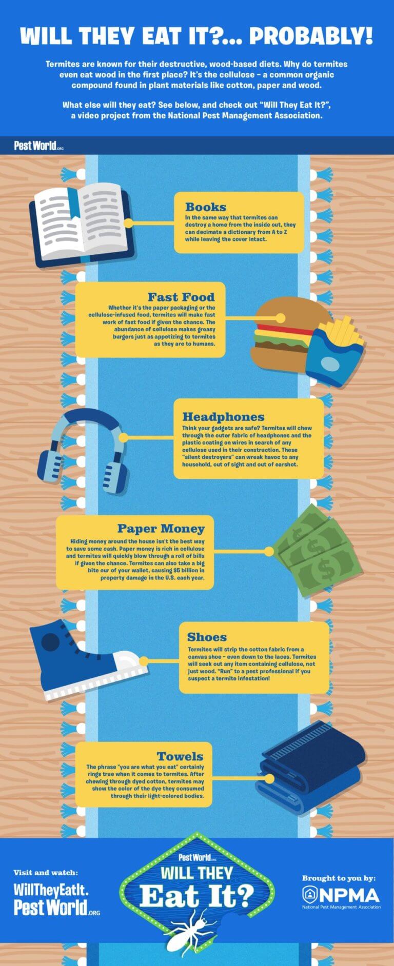 Termites – the Surprise Party Nobody Wanted - Western Pest Services