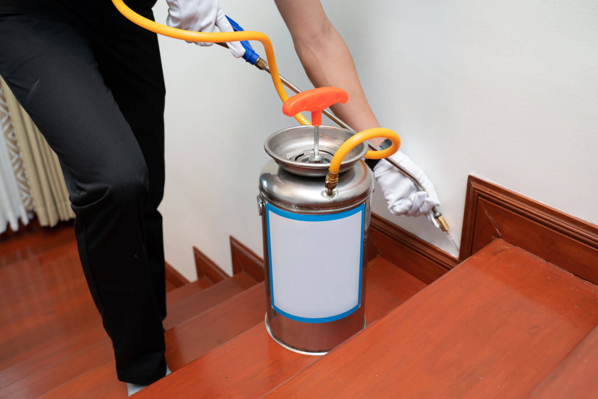 DIY Pest Control vs Traditional Pest Control - Western Pest Services