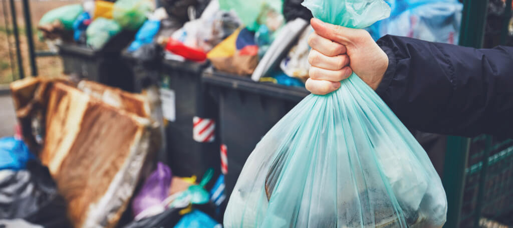 Quarantine Trash Changes Bring More Filth Flies - Western Pest Services