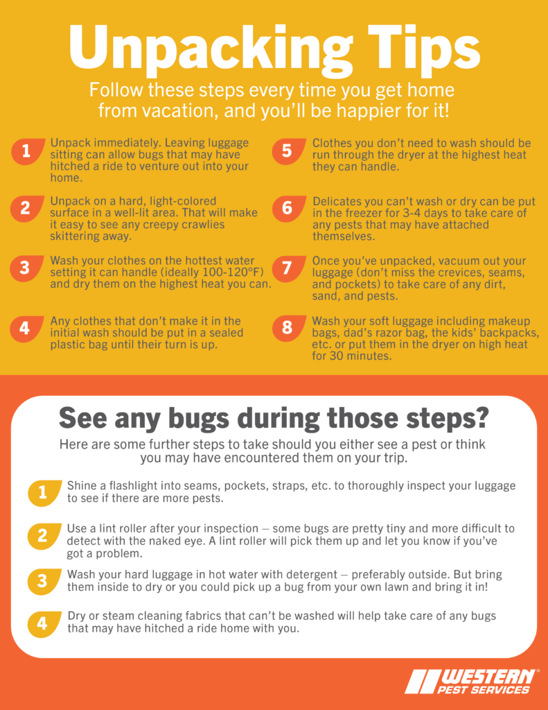 8 Post-Travel Luggage Tips - Western Pest Services