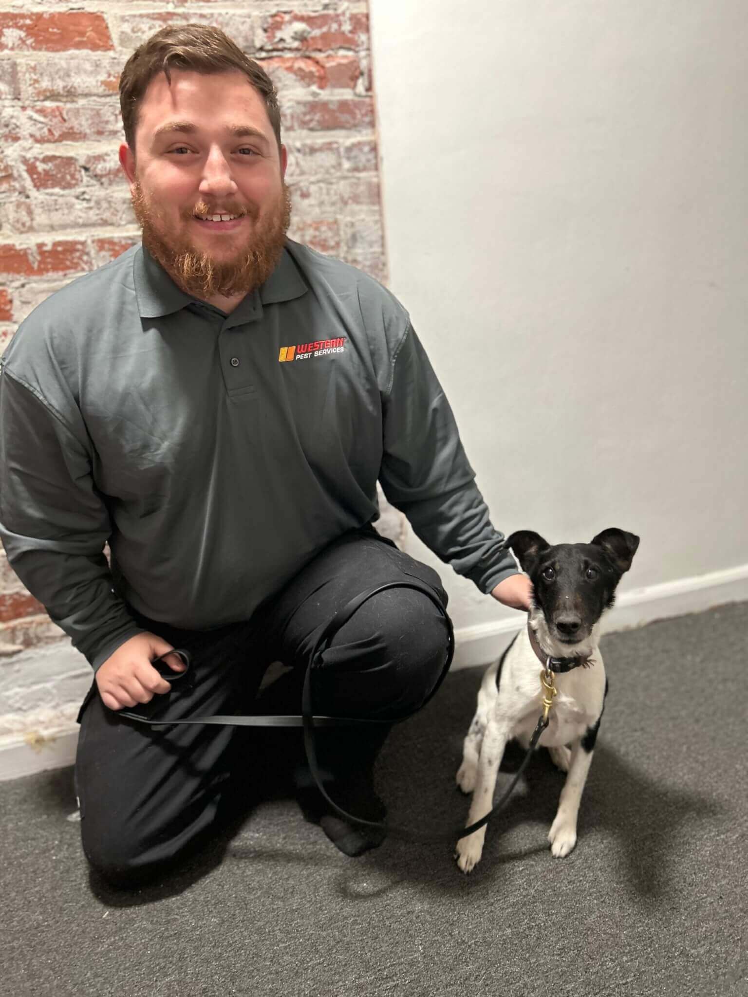 Our New Canine Team - Western Pest Services