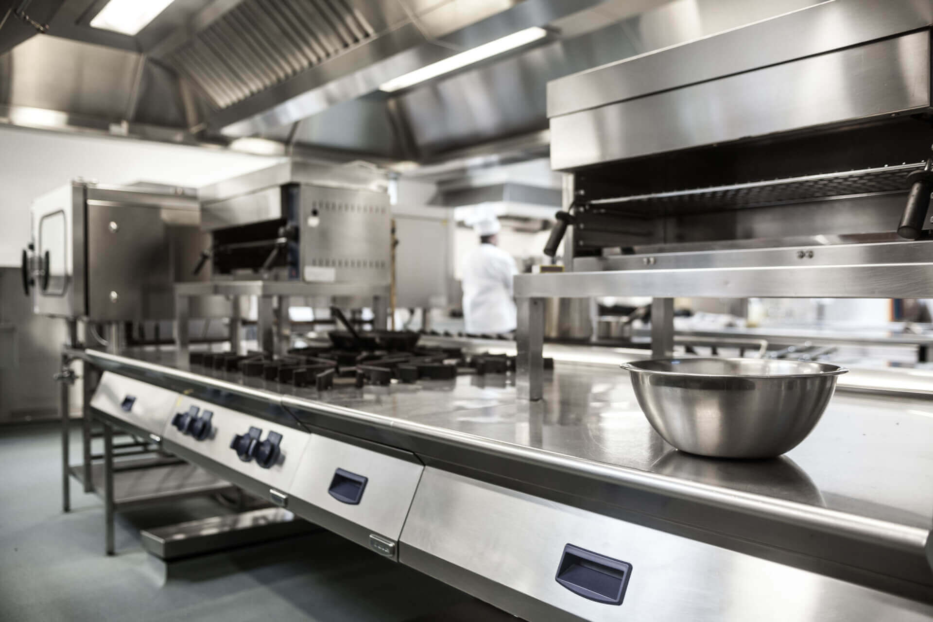 Get Rid of Flies in Restaurant Kitchens - Western Pest Services