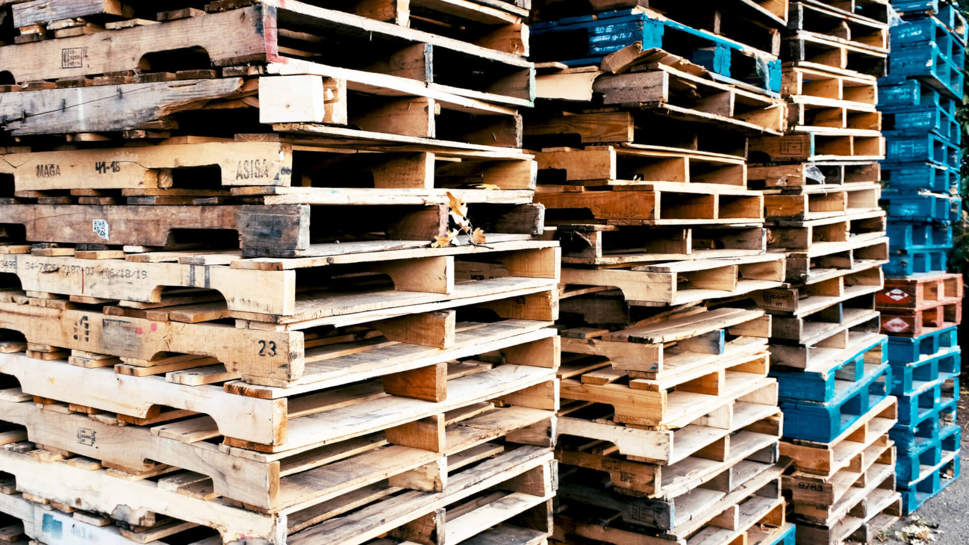 3 Logistics Pallet Trends to Consider - Western Pest Services